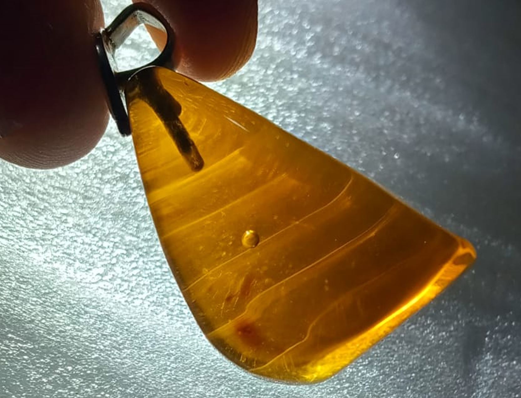 - Dominican amber, Baltic amber and Mexican- Chiapas - Simojovel - amber