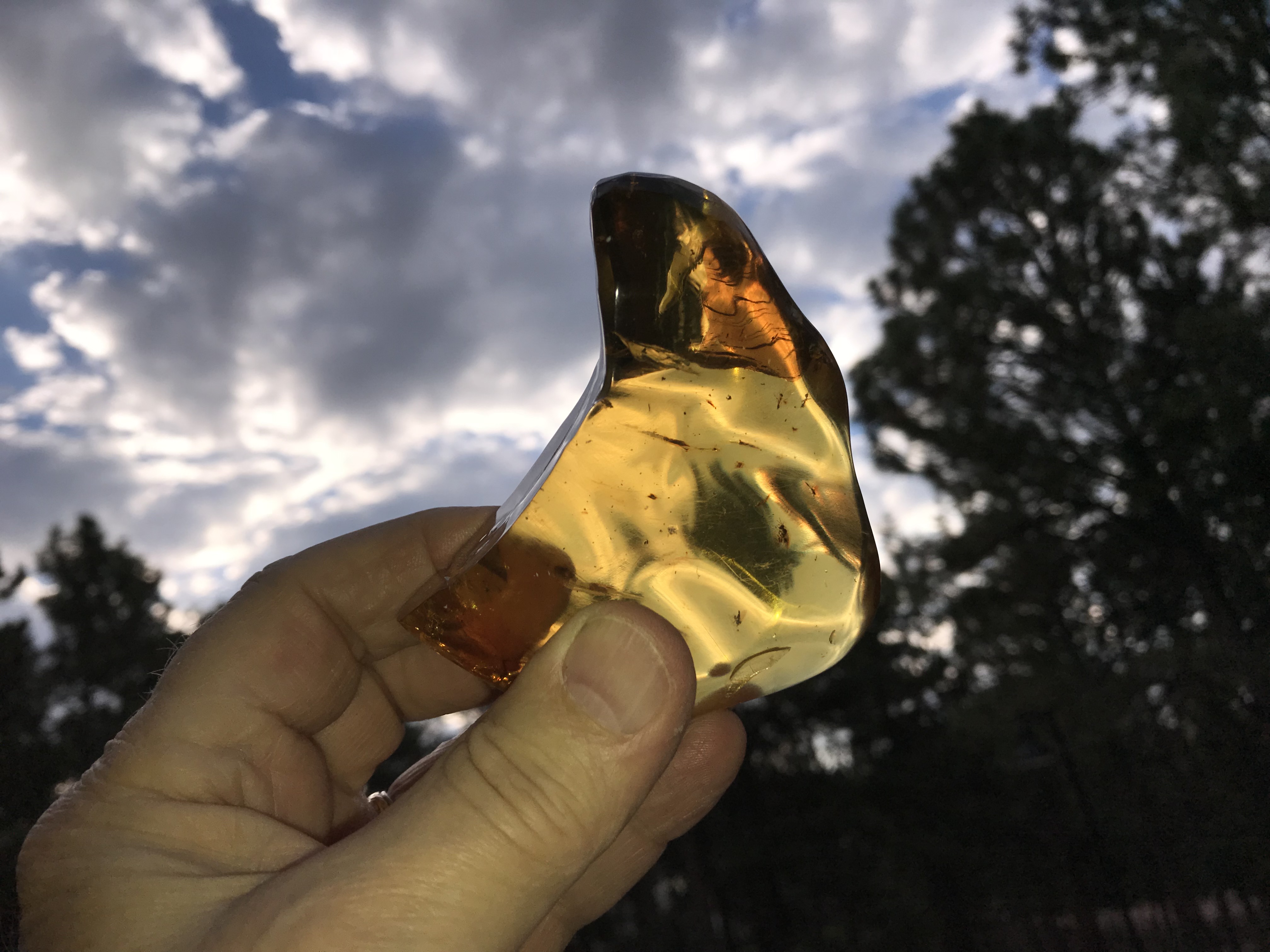 - Dominican amber, Baltic amber and Mexican- Chiapas - Simojovel - amber