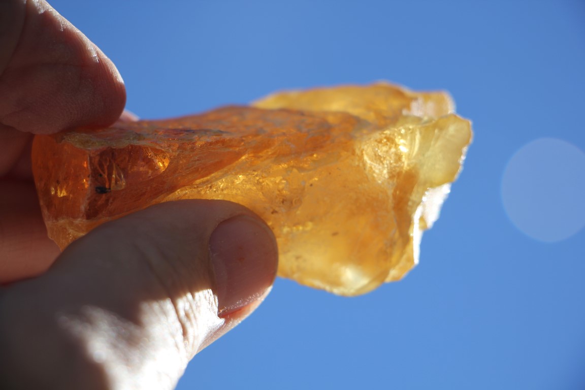 Chiapas Amber From Mexico - with insects and botanical specimens